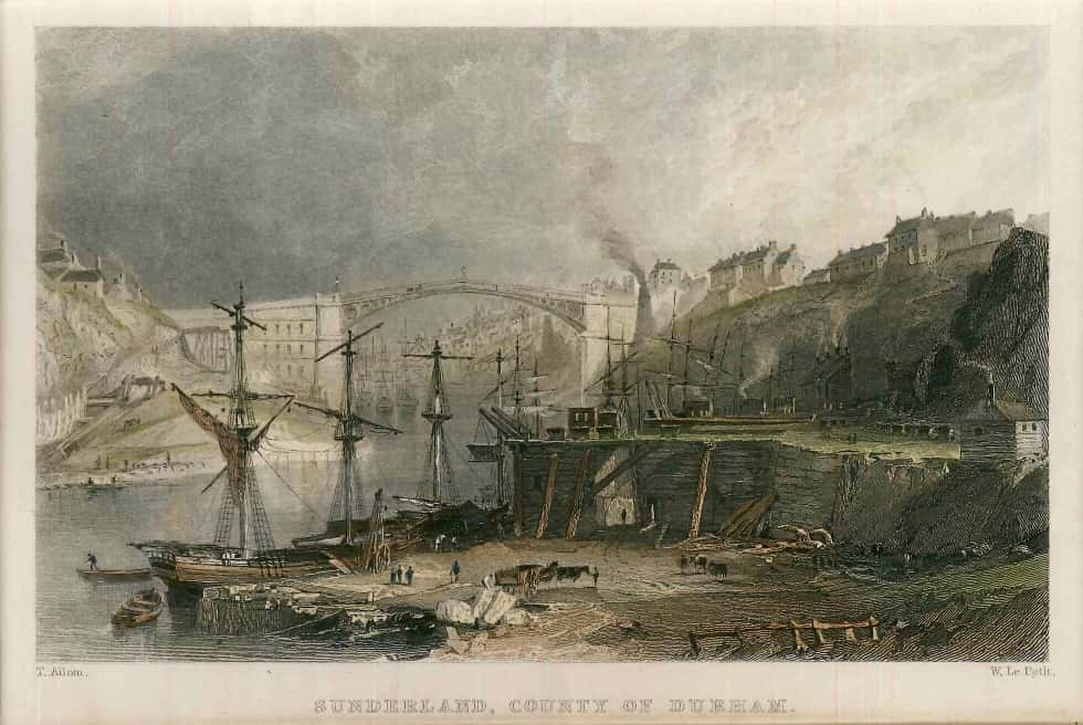 Wearmouth’s bridges – Seagull City