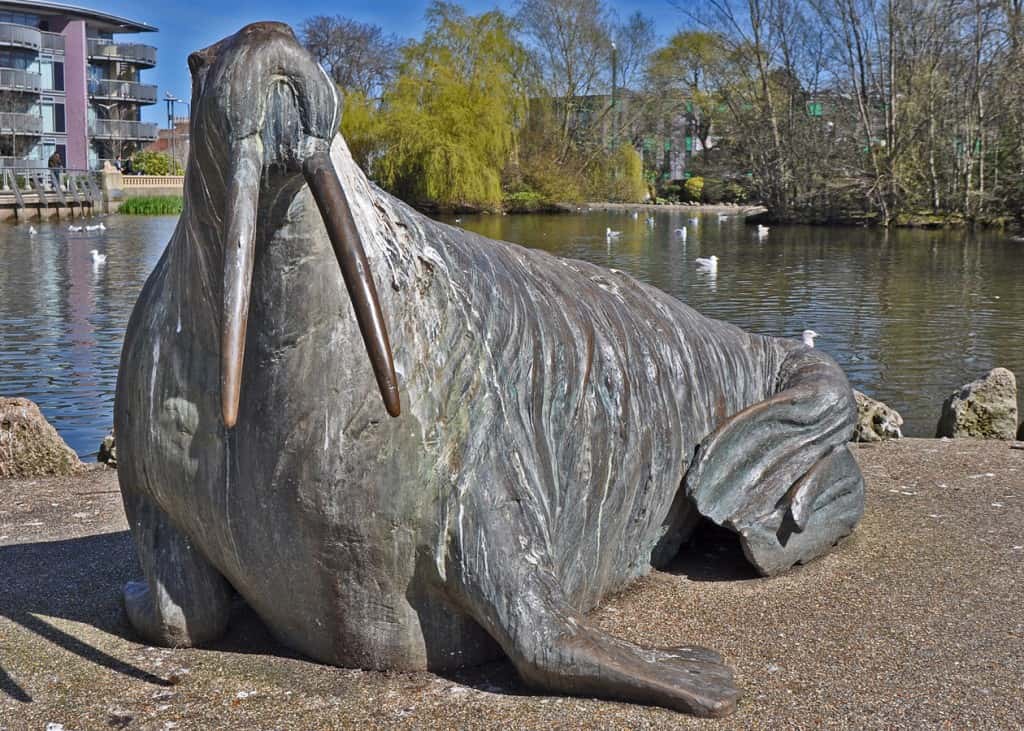 Mowbray Park – Seagull City