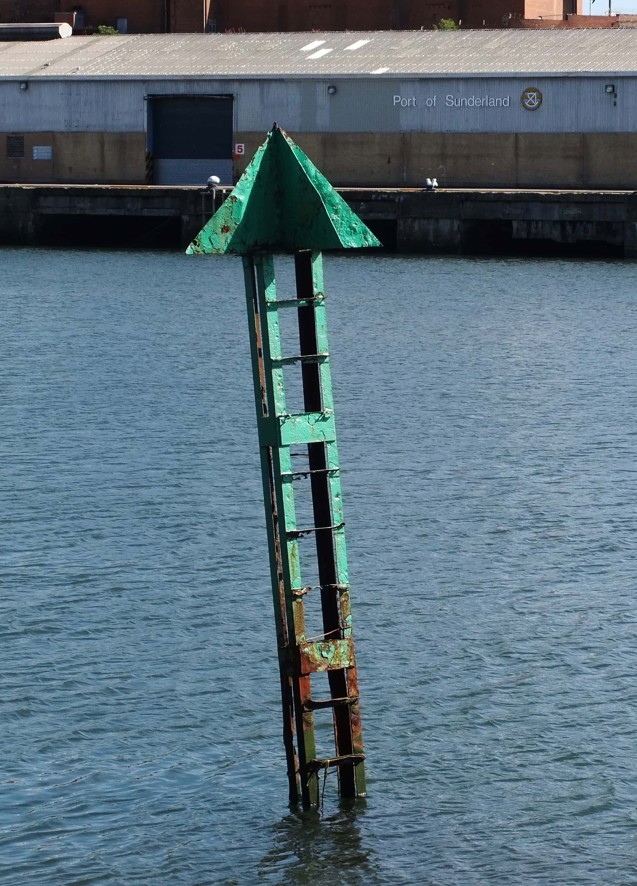 Riverside sculpture walk: east – Seagull City