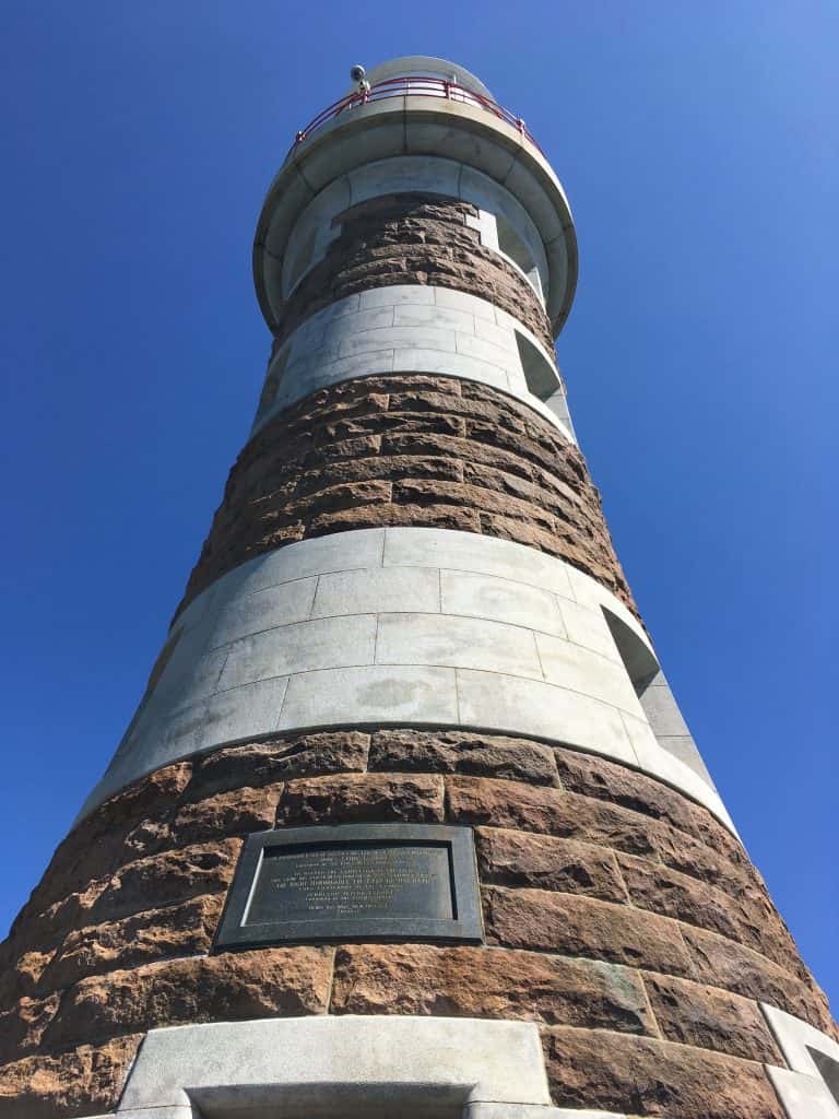 Roker and Whitburn – Seagull City